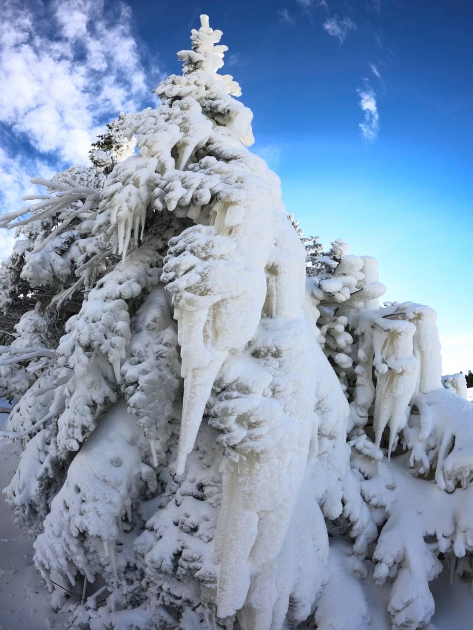 Snowmaking 2020: Phase One - STRATTON MOUNTAIN BLOG
