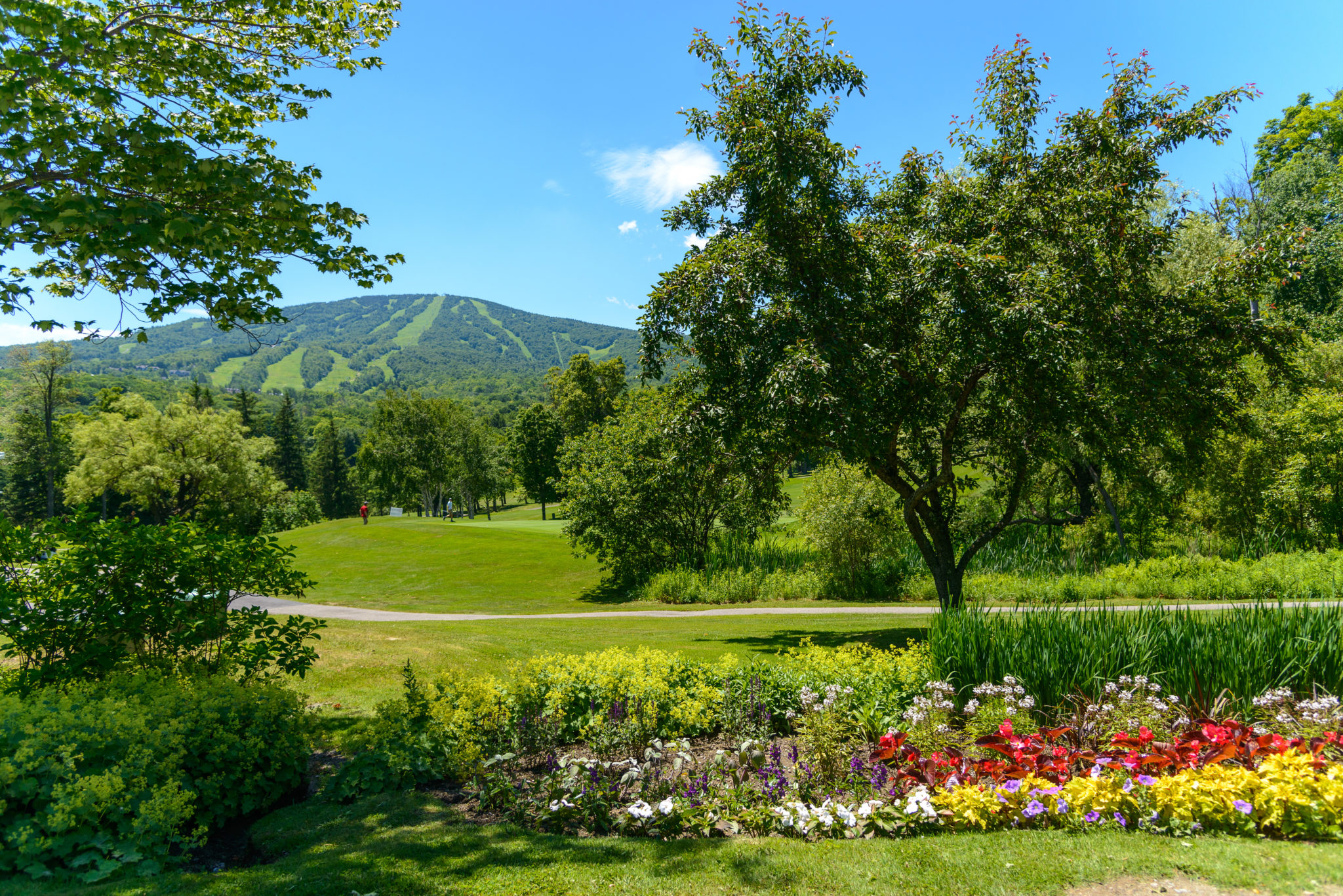 Vermont Getaway - Stratton Lodging Packages - STRATTON MOUNTAIN BLOG