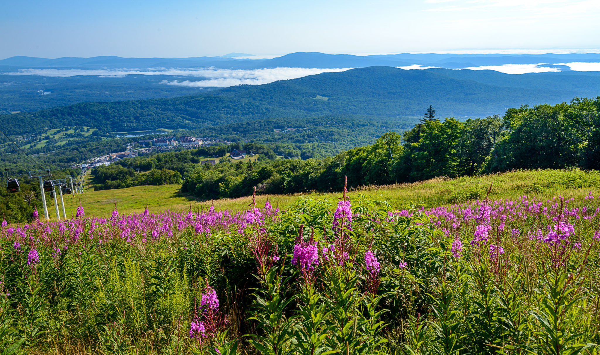 STRATTON MOUNTAIN BLOG - Your guide to Stratton Vermont