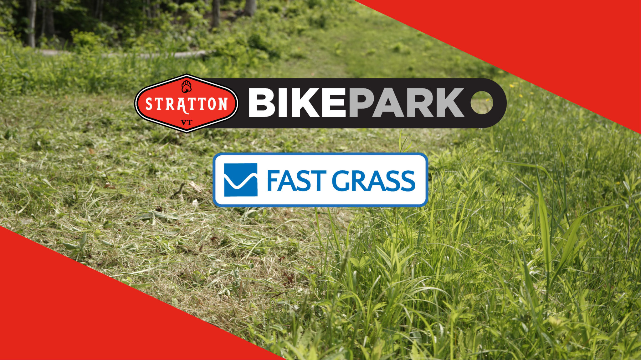 Stratton Bike Park Trail Previews - STRATTON MOUNTAIN BLOG