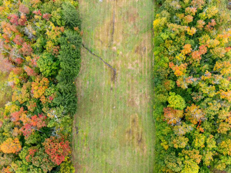 Stratton Mountain Fall Foliage Tracker - STRATTON MOUNTAIN BLOG