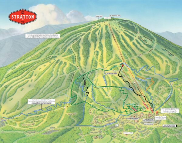 What's Going On At Stratton Bike Park? - STRATTON MOUNTAIN BLOG