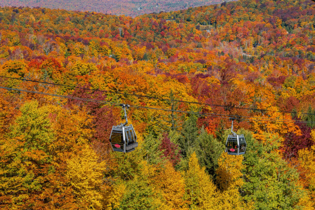 Fall Must-Do's at Stratton Mountain - STRATTON MOUNTAIN BLOG