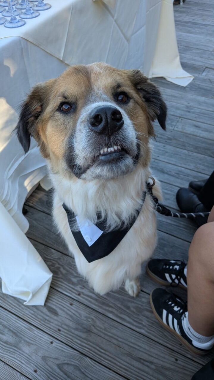 PXL_20251005_201402674 - STRATTON MOUNTAIN BLOG